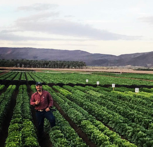 College of Agriculture, Food and Environmental Science - Cal Poly Magazine