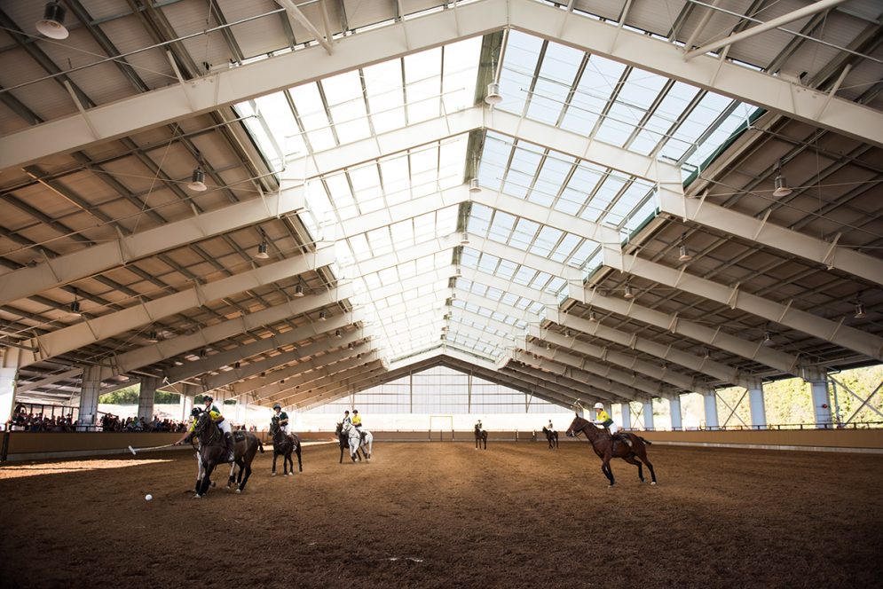 Horseplay - Cal Poly Magazine