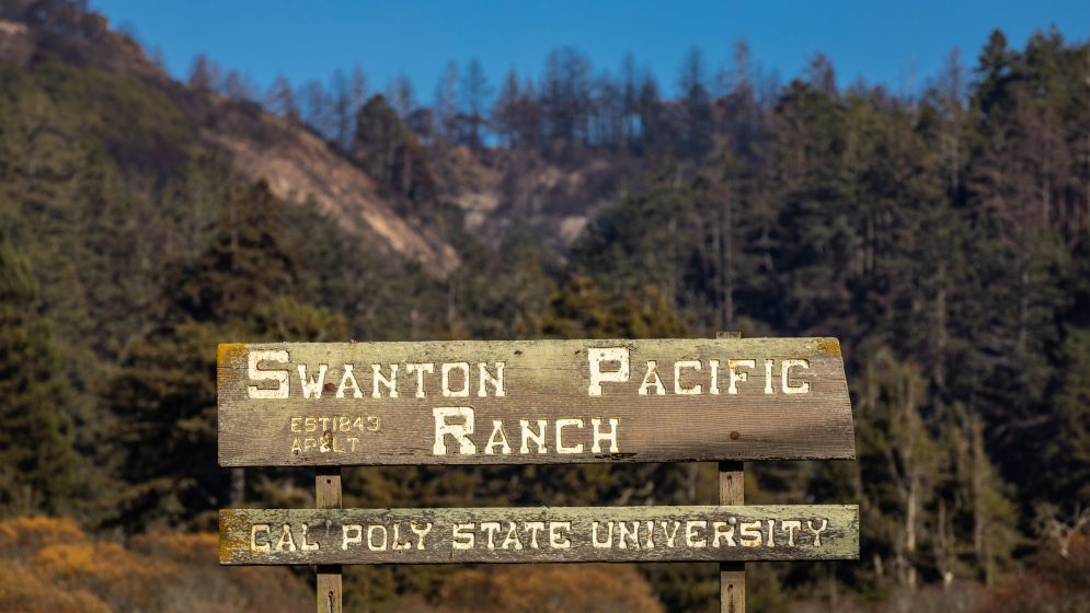 Winter 2021 - Cal Poly Magazine