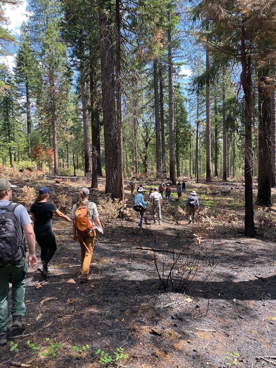 Our Climate Future: Fire - Cal Poly Magazine