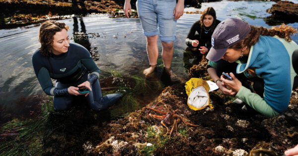 Pool Party - Cal Poly Magazine