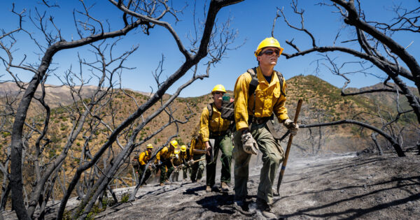 Forged in Flame - Cal Poly Magazine